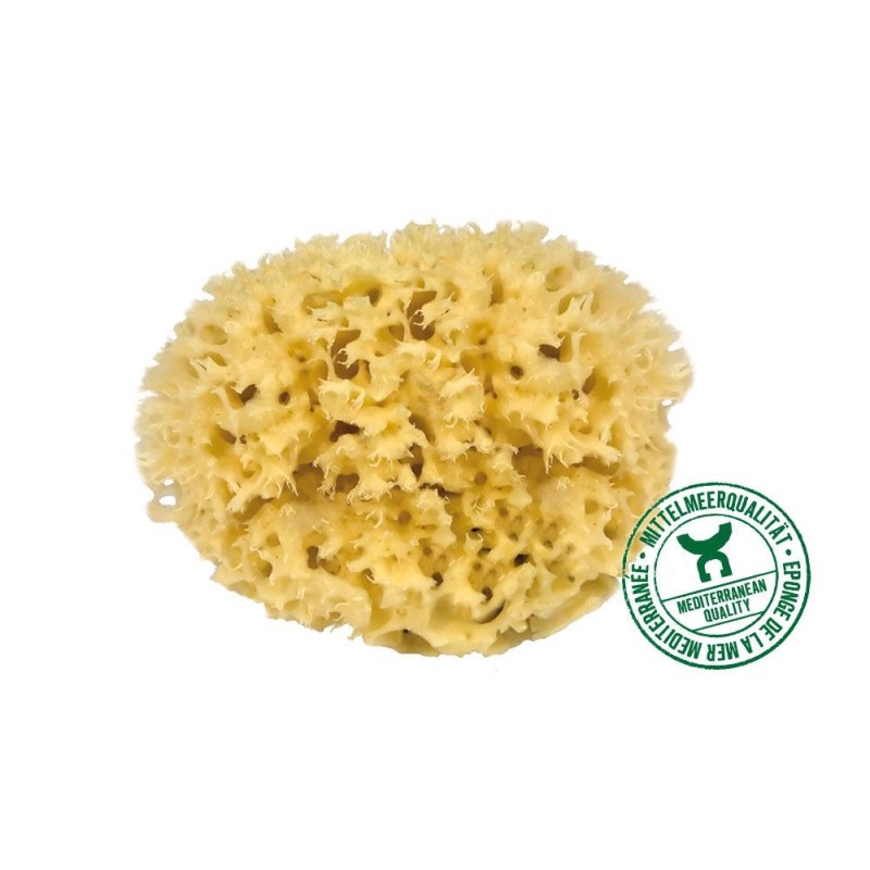 Éponge de mer naturelle Médium - Croll & Denecke