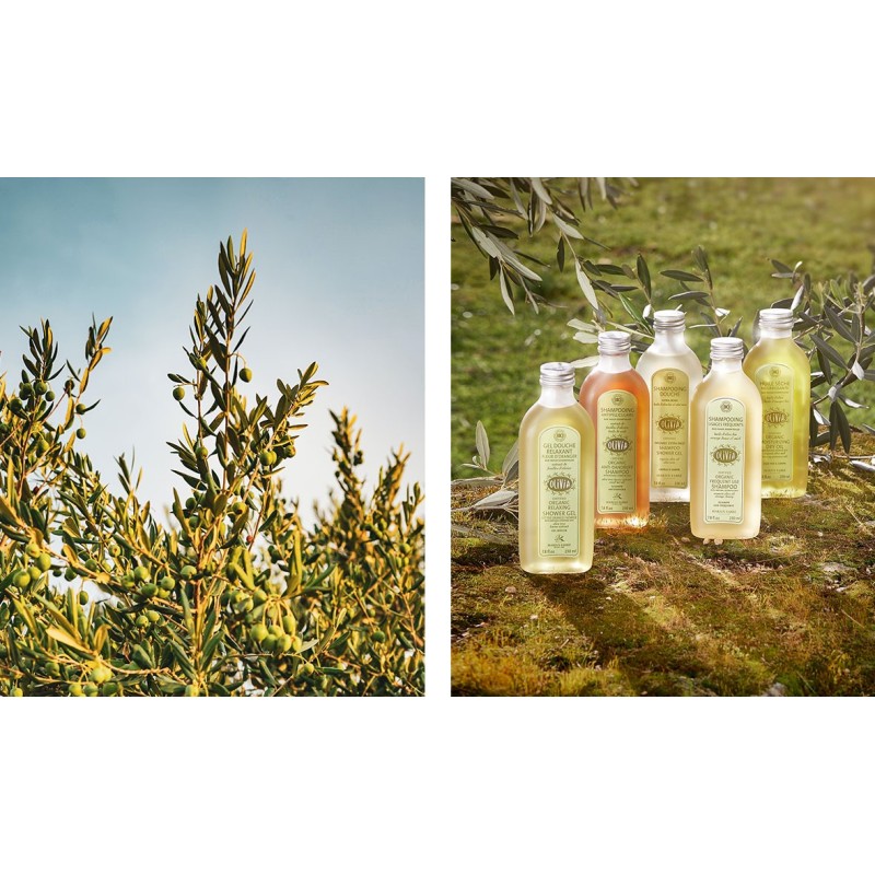 Shampoing Douche Extra doux Olivia BIO, à l'huile d'olive & Aloe vera